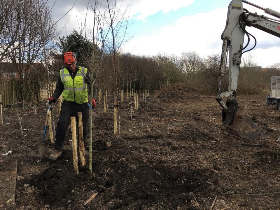 Airport City Manchester joins the new ‘100 Trees Club’ as part of City ...