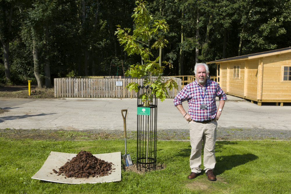 Public invited to nominate favourite trees in new North East ...