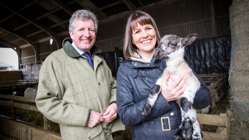 Long-serving agriculture specialist Helen Pennock appointed Partner at ...