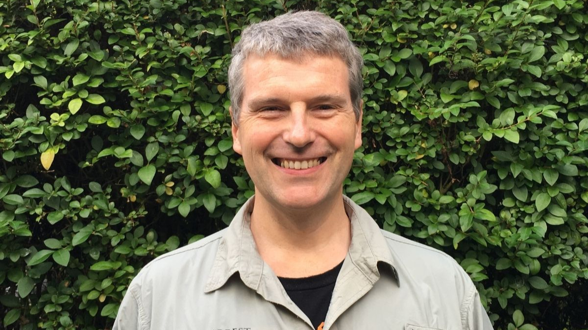 Business leaders urged to save rainforests and protect the climate ...