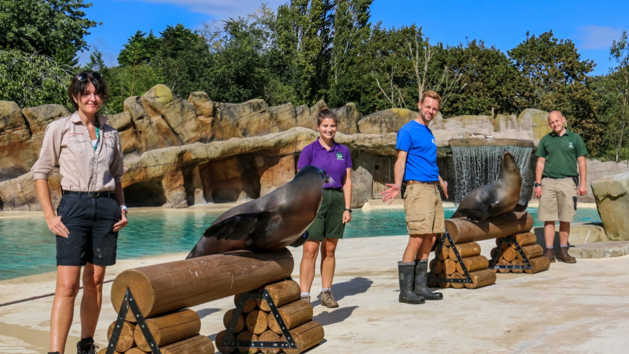 Gold award for student zoo experience - Business Up North