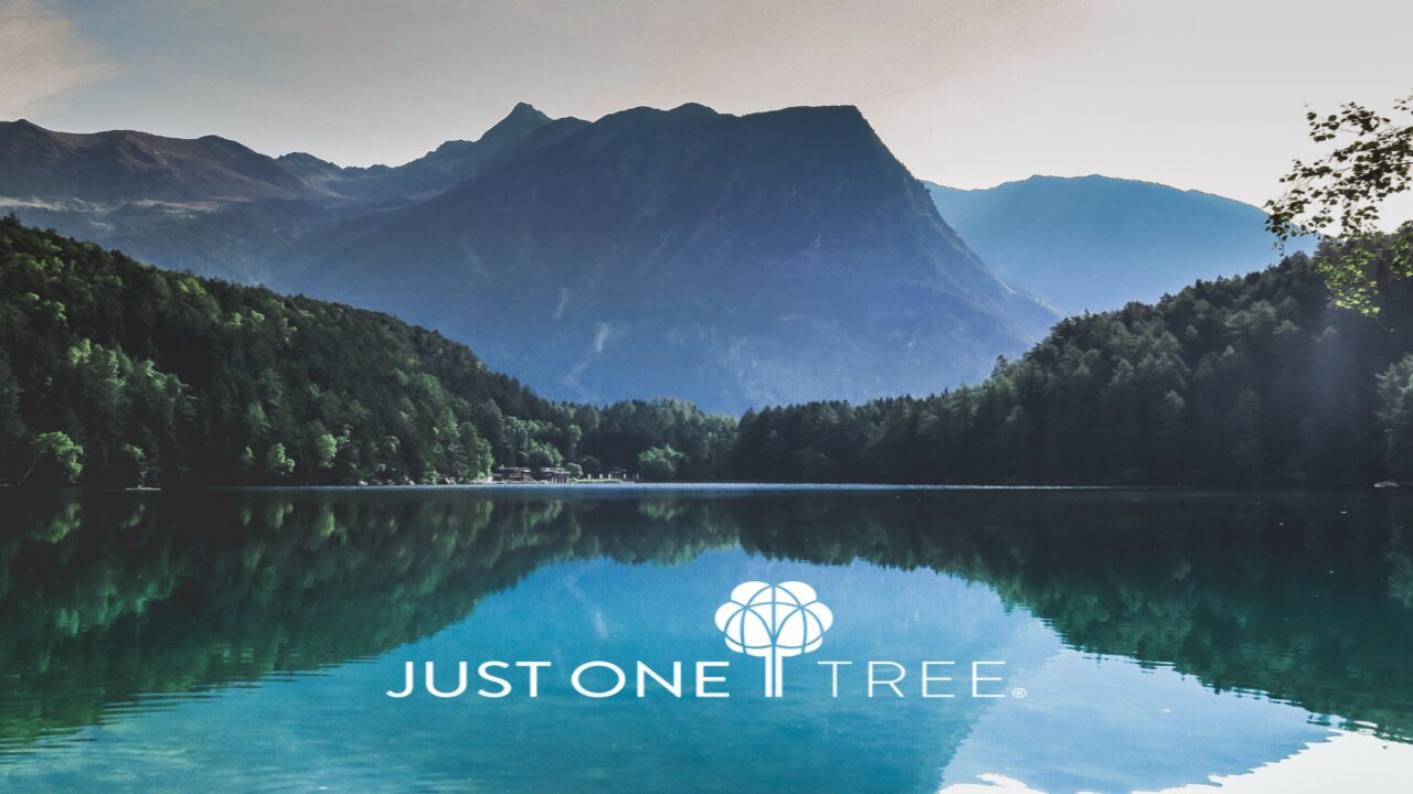 Pentest People Joins Forces with JUST ONE Tree to Combat Climate Change ...