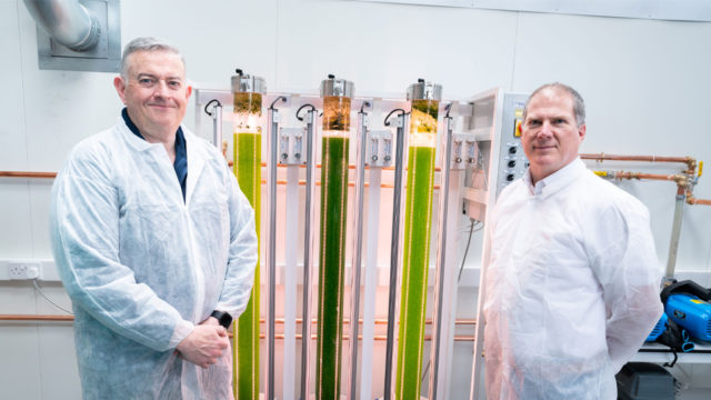 Northern Engineering Solutions Celebrates Record Year | Business Up North